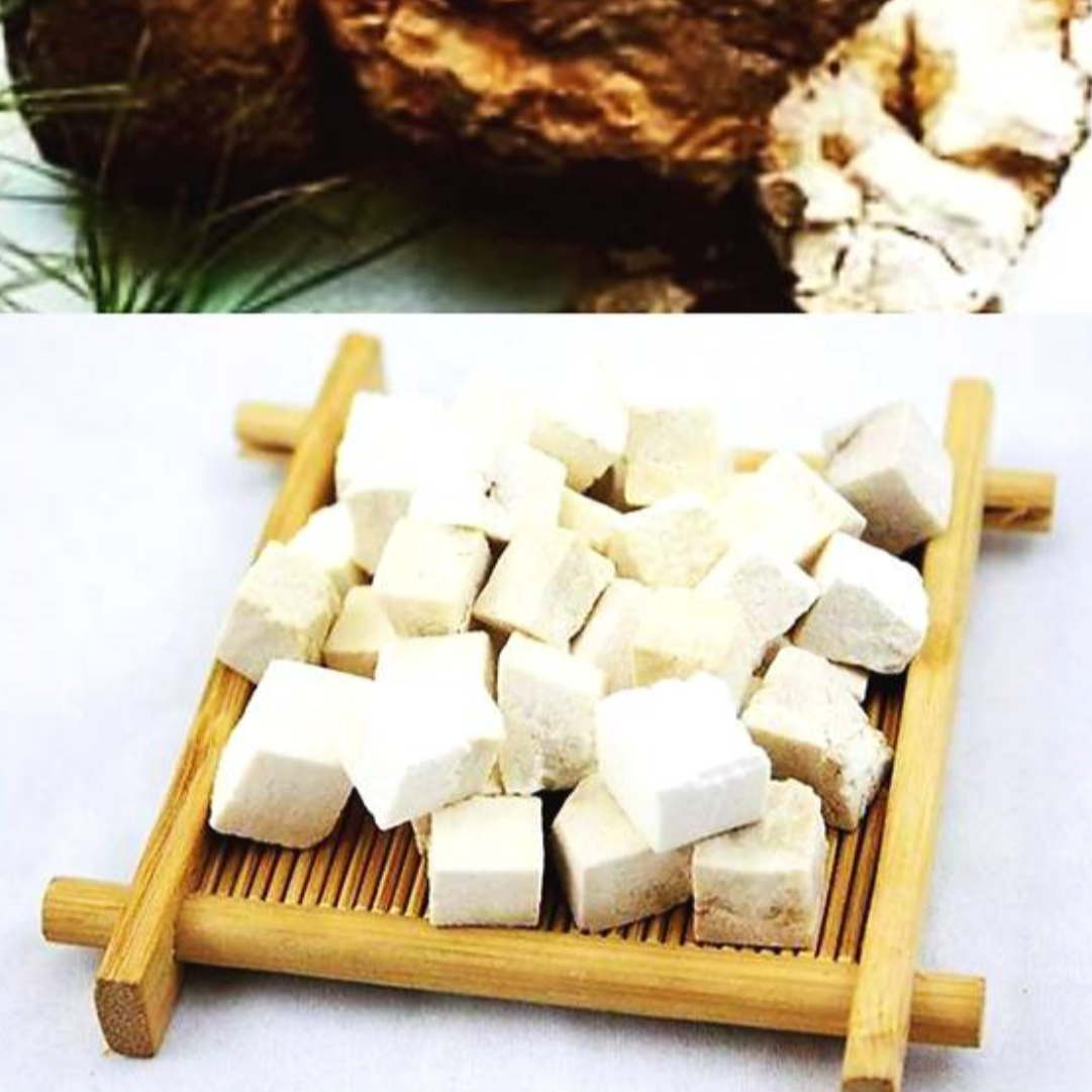 Tuckahoe (Poria) – Nature's Way Herbal Remedies