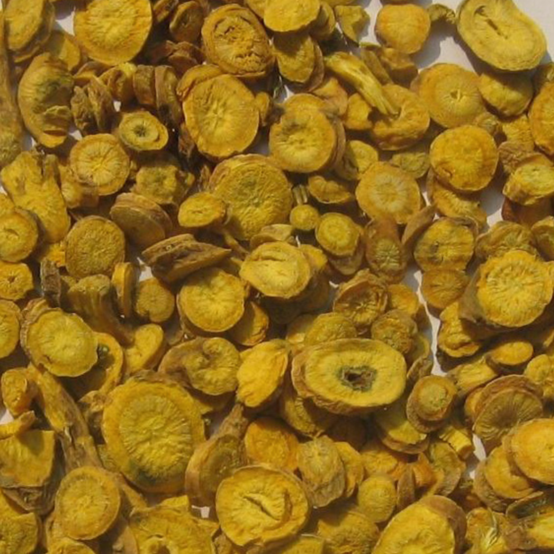 Scutellaria Root – Nature's Way Herbal Remedies