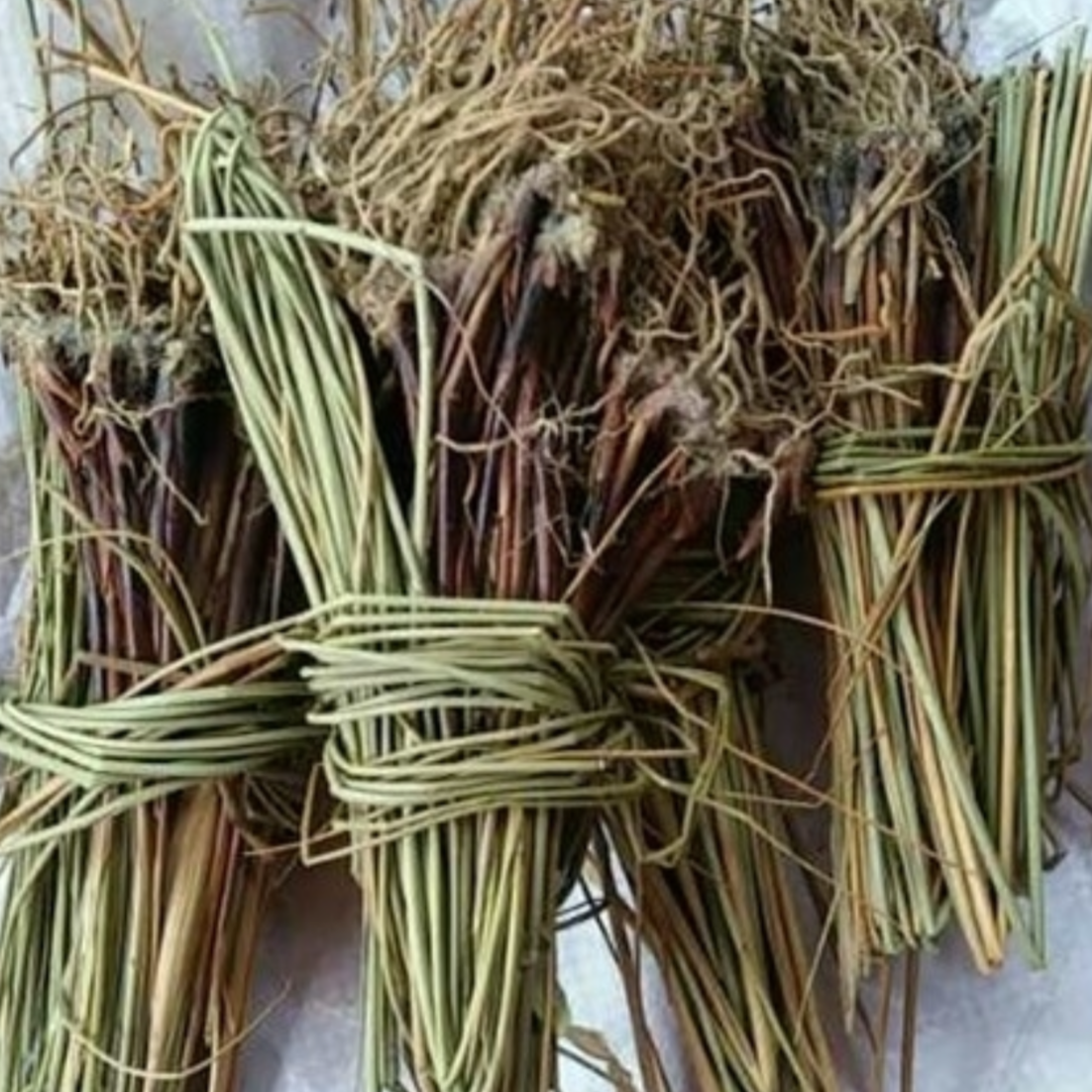 Rush Pith – Nature's Way Herbal Remedies