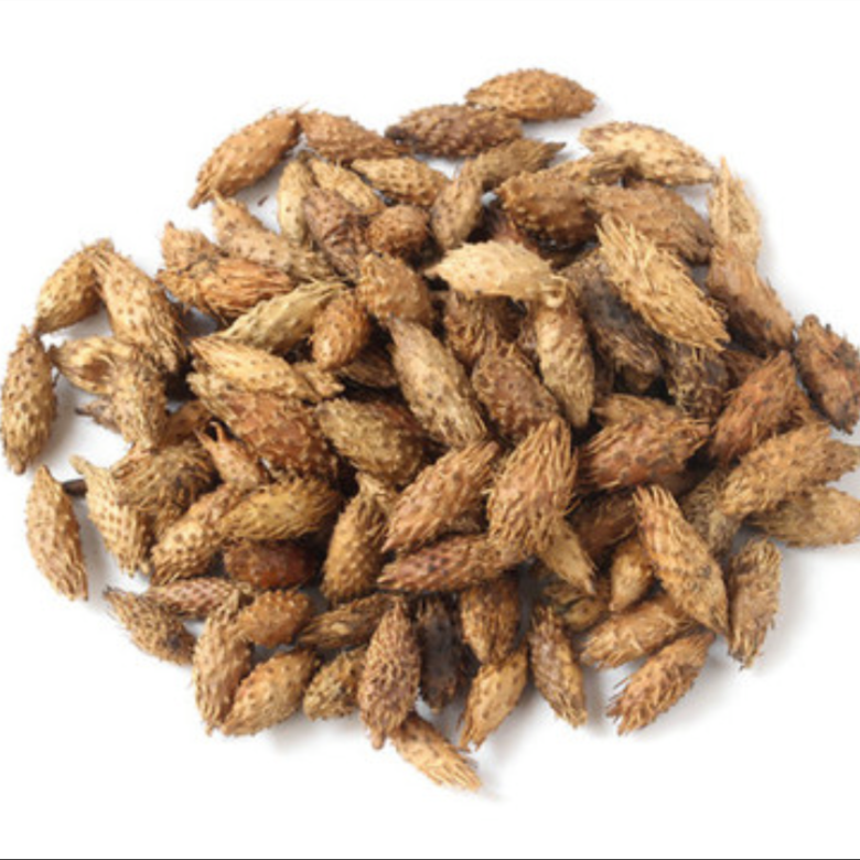 Xanthium Fruit – Nature's Way Herbal Remedies