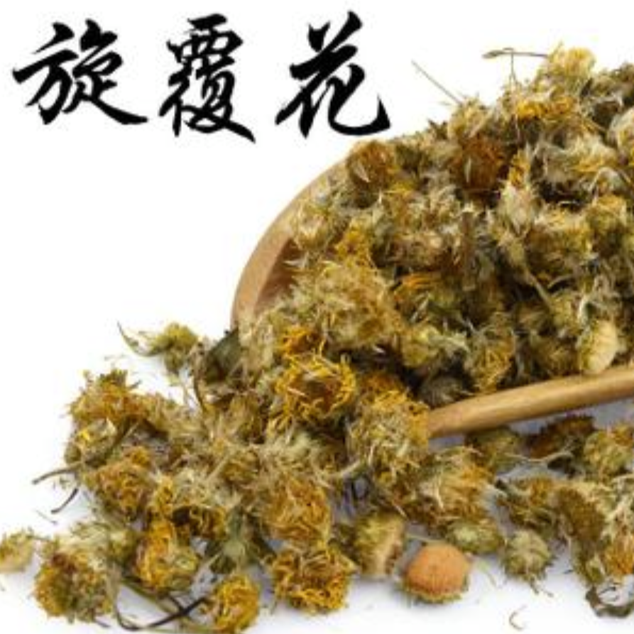 Flos Inulae 旋复花 – Nature's Way Herbal Remedies