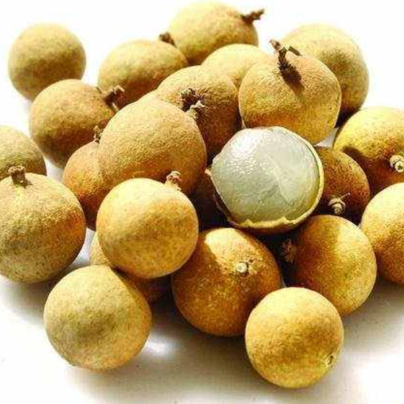 Arillus Longan – Nature's Way Herbal Remedies