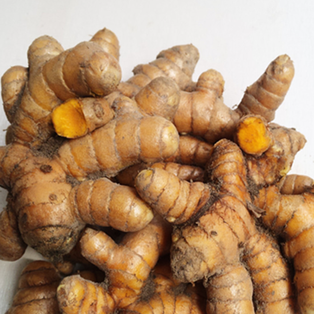 Rhizoma Curcumae Longae (Turmeric) – Nature's Way Herbal Remedies